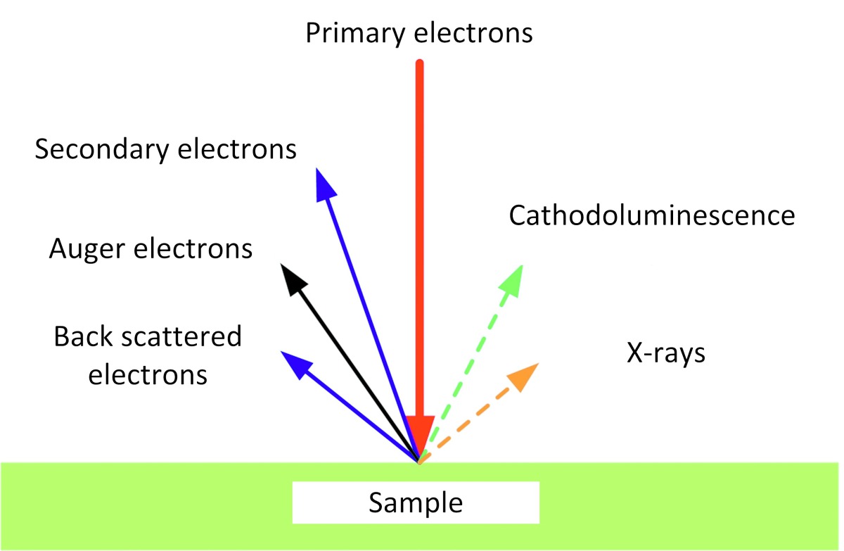 Comparative studies of methods for quantitative microstructural analysis in mineral processing ...