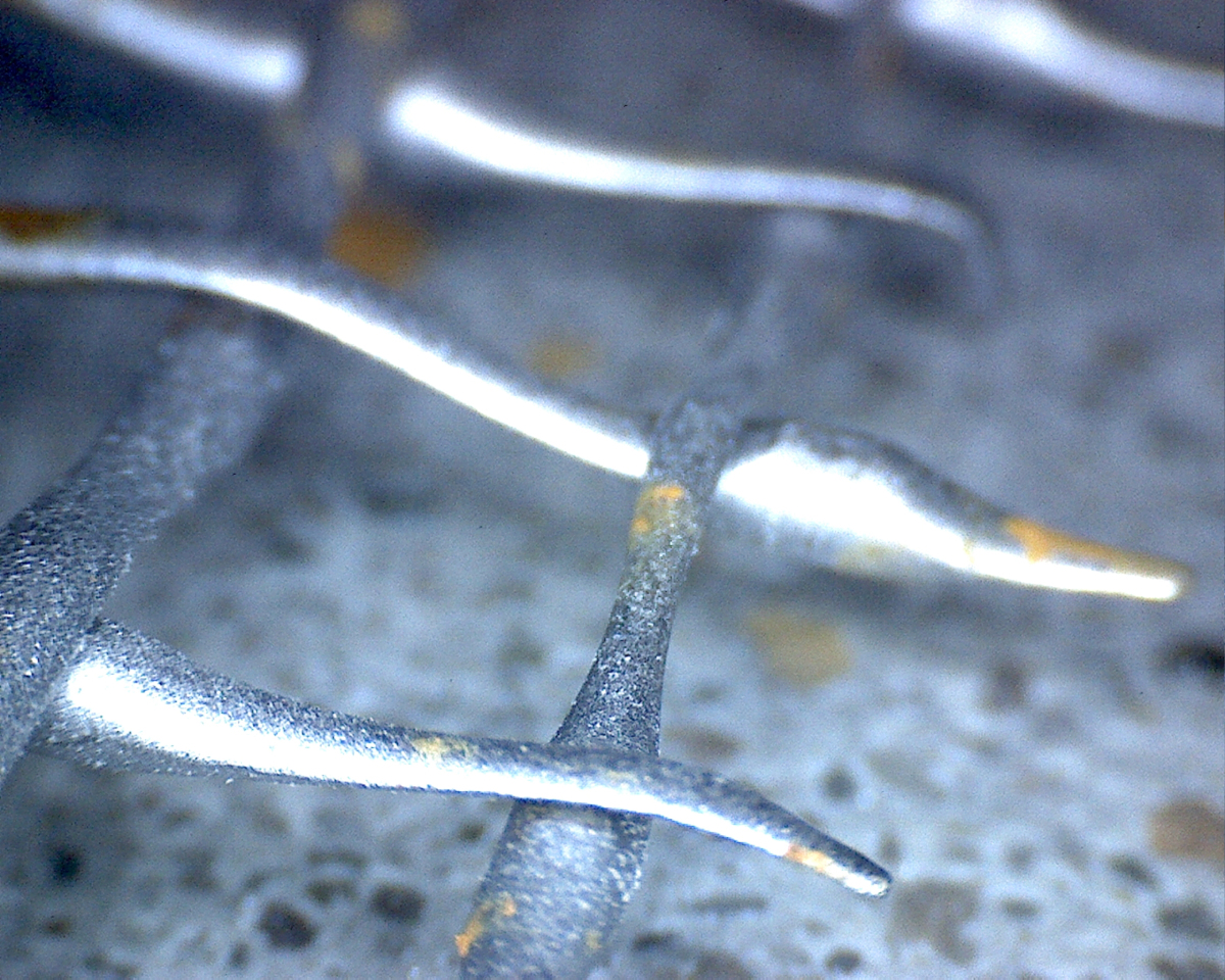 Significant cost savings – higher system availability - Mineral Processing