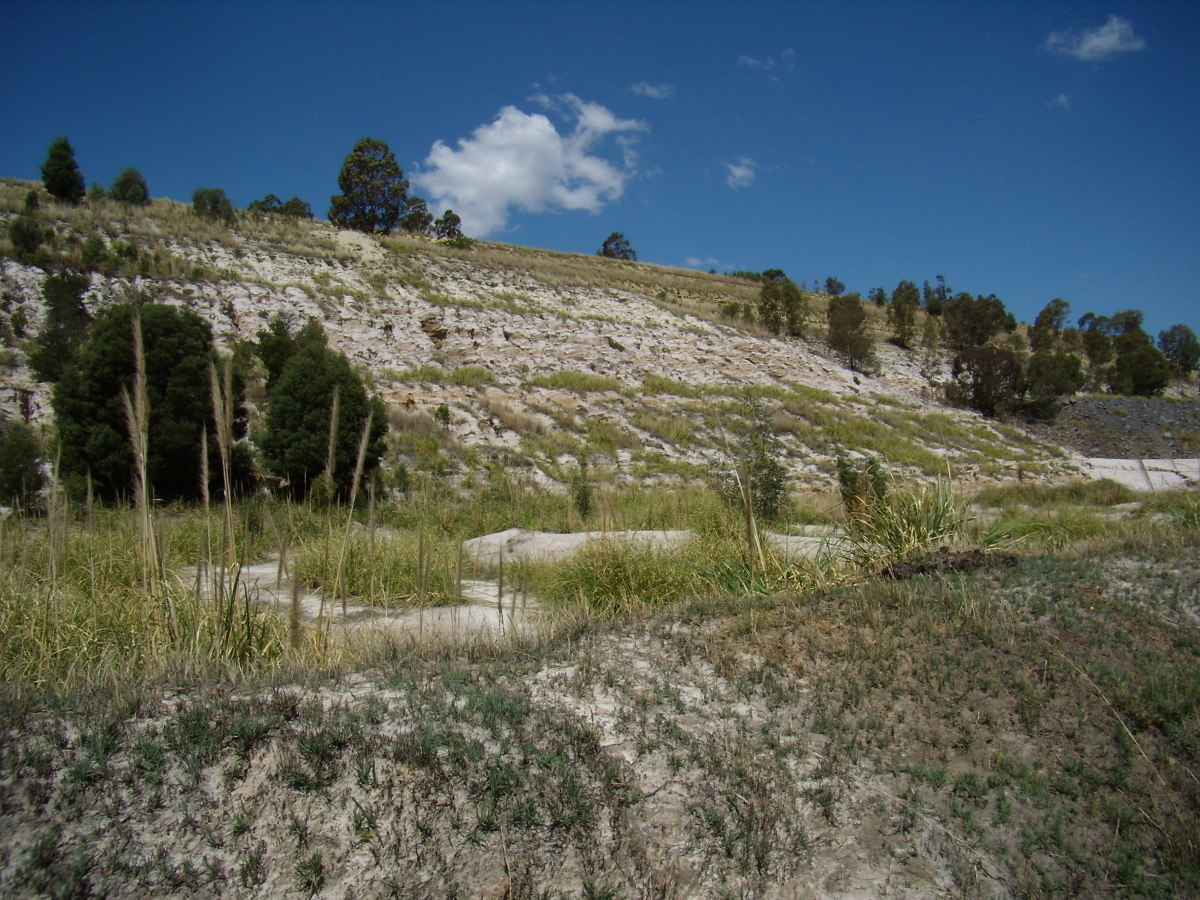 Conservative design central to meeting tailings standards - Mineral ...